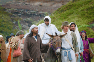 Spiritual Meaning Of A Colt (Bible Interpretation)